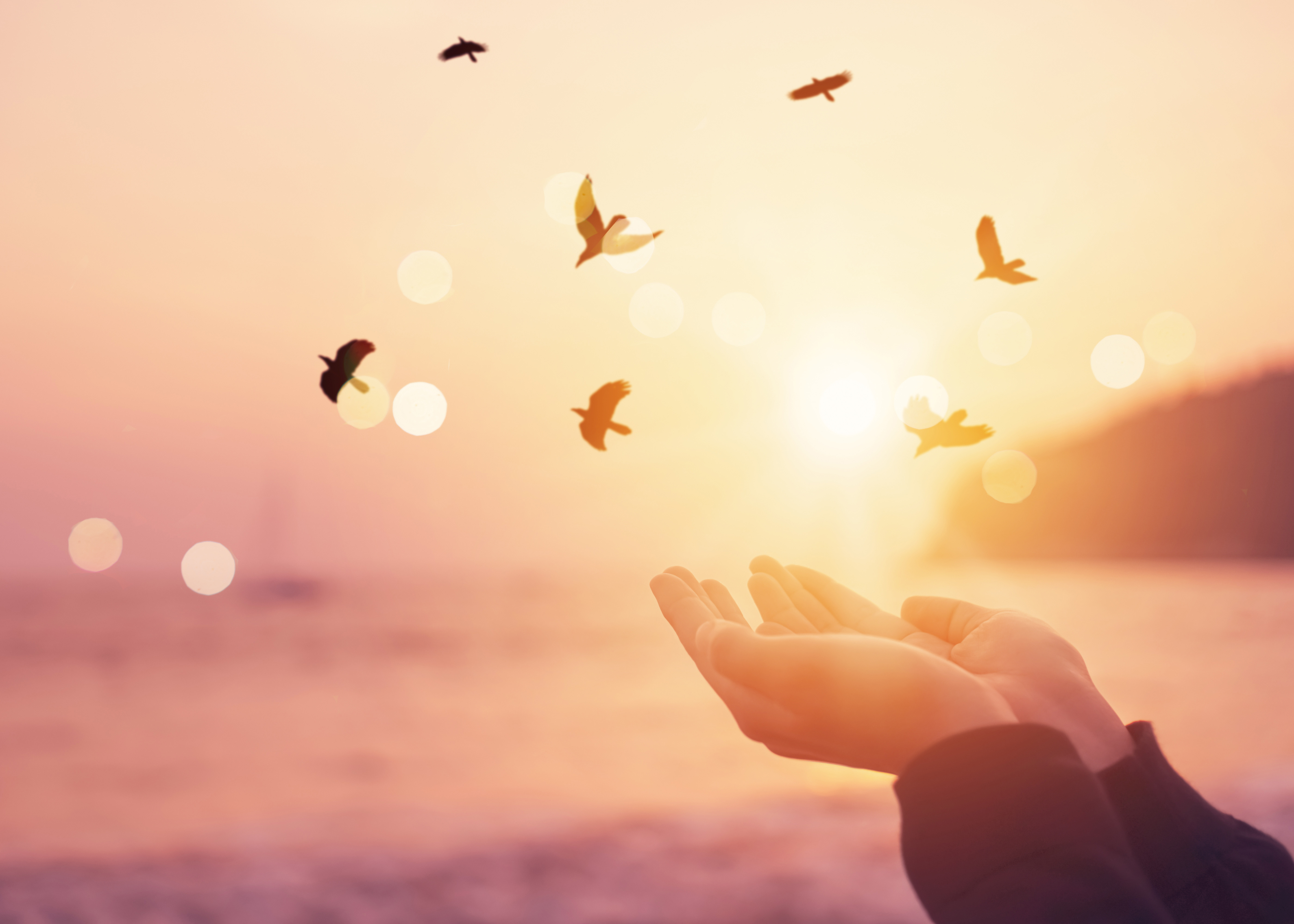 Home :: HCS Group s.r.l.